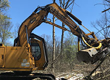 Buy Standing Timber | Habitat Management of Michigan